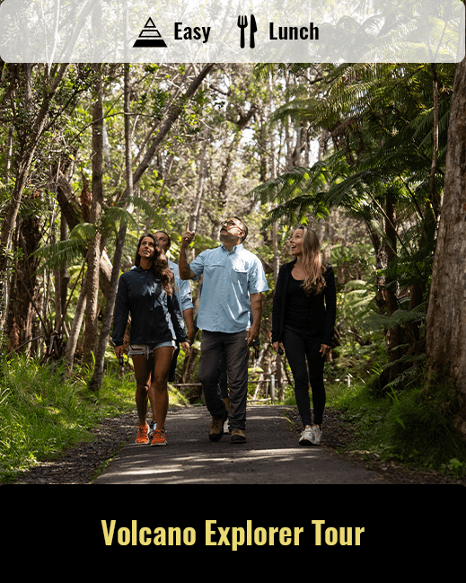 Kailani Tours | Big Island Volcano Tours